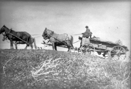 Angus and Team on Skyline, July 1933. – Dawson City Museum